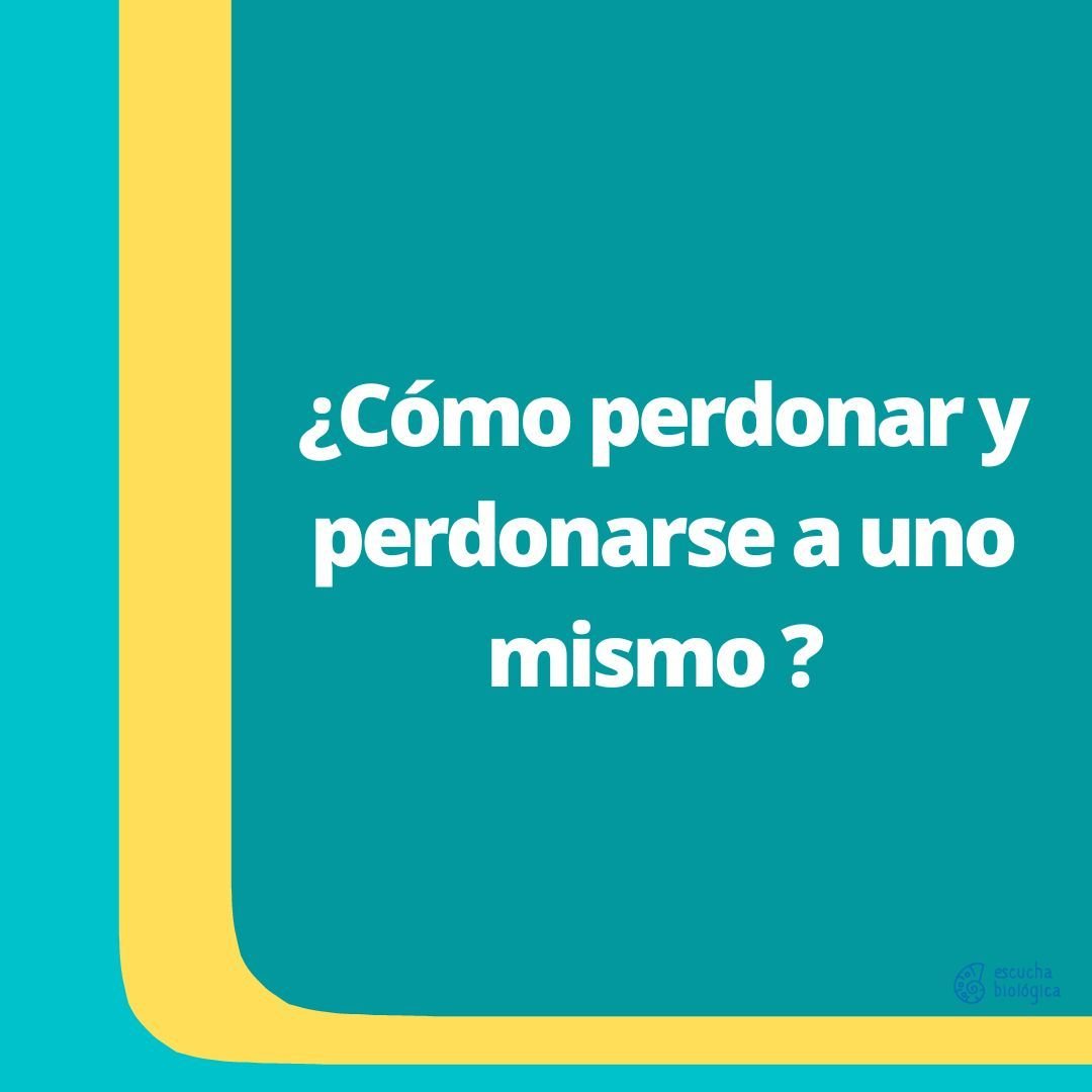 C mo Perdonarte A Ti Mismo Claves Para Lograr La Autocompasi n c-mo-perdonarte-a-ti-mismo-claves-para-lograr-la-autocompasi-n